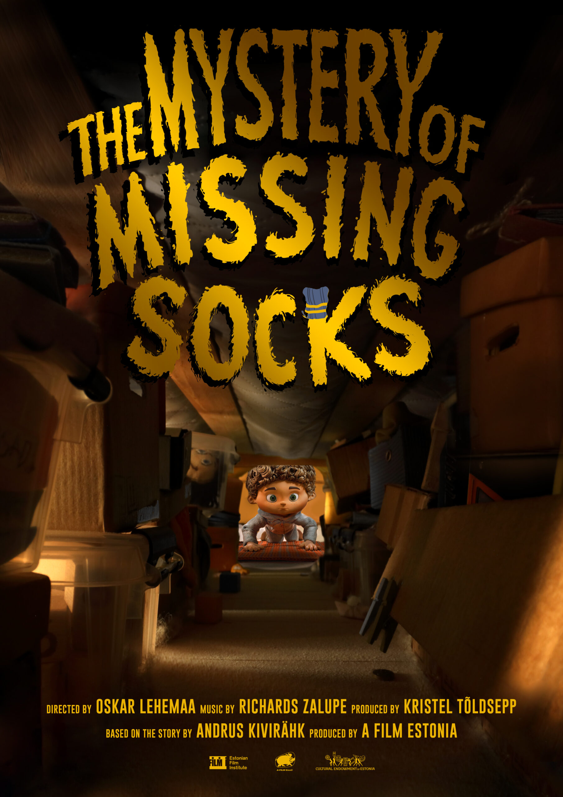 The Mystery of Missing Socks - Dandelooo